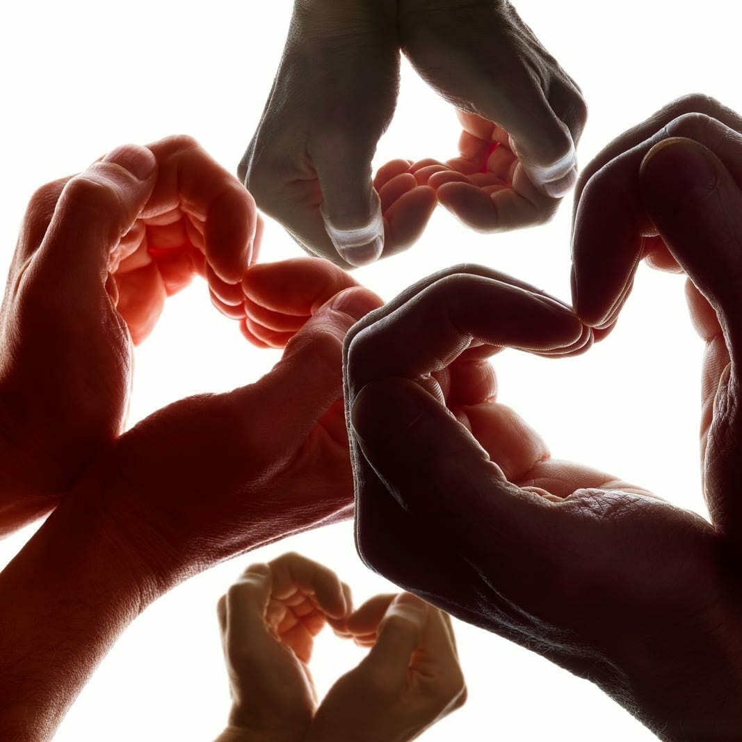 Schema werking van het hart